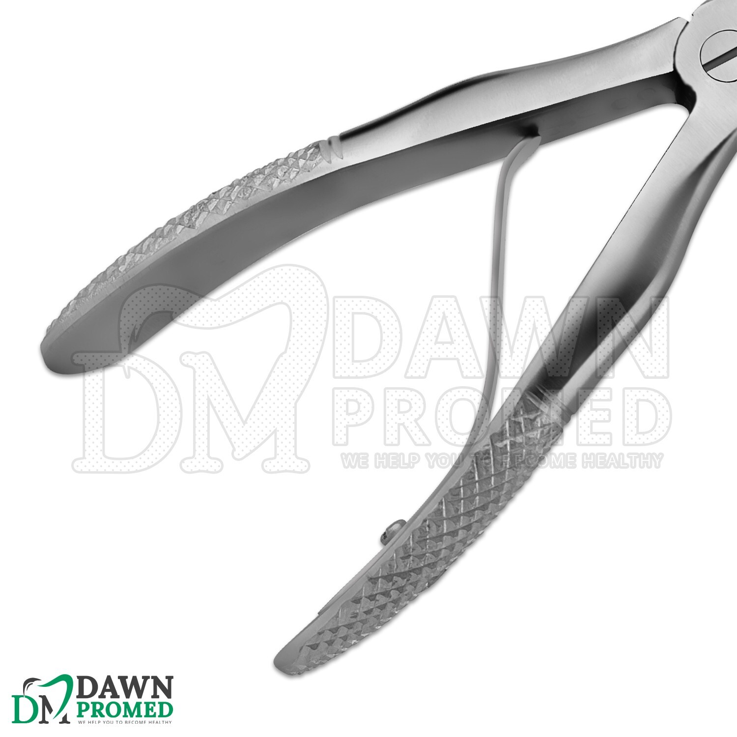18 Pcs Dog Dental Extraction Kit German Grade Veterinary Instruments ...