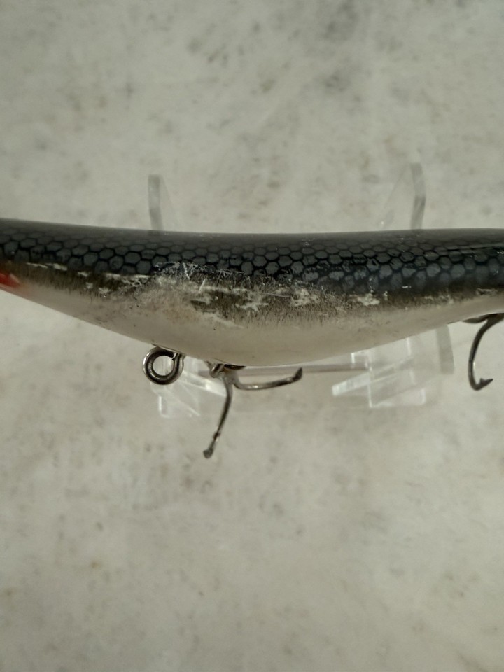 Musky Scatback Vintage Fishing Lure | eBay