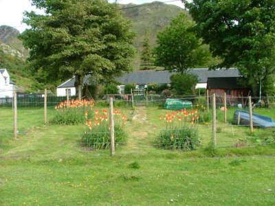 Photo 6x4 Garden at Corran Corran/NG8509 All the gardens in the village ...