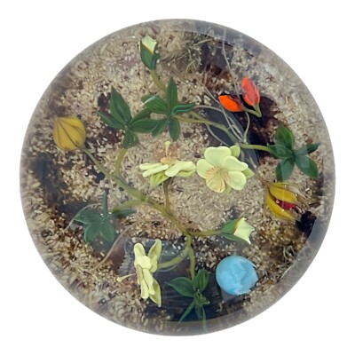 Vintage Paul Joseph Stankard Botanical Handblown Glass Paperweight A193 ...