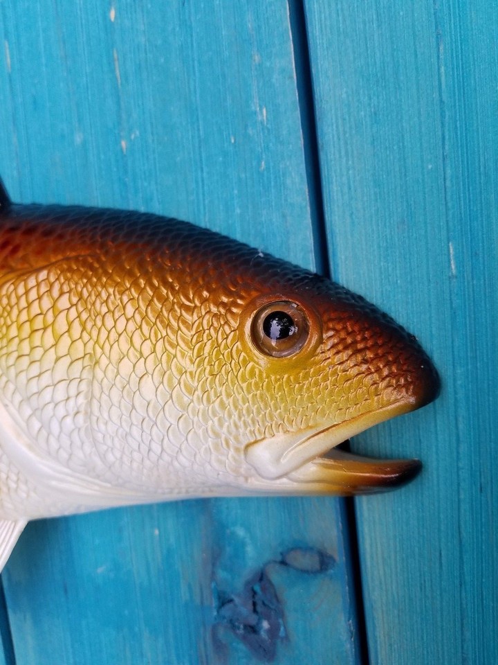 Redfish Hand Painted 19" Replica Wall Mount Sculpture Game Fishing Salt ...
