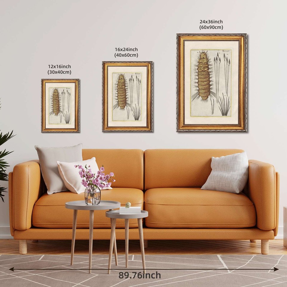 Insect Larva Scientific Illustration Canvas Oil Paintings Reproduction ...