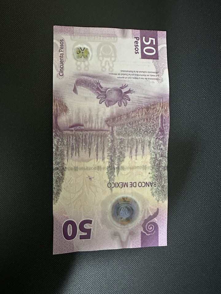 2021 50 Peso Note AA Series March 31 2021 | eBay