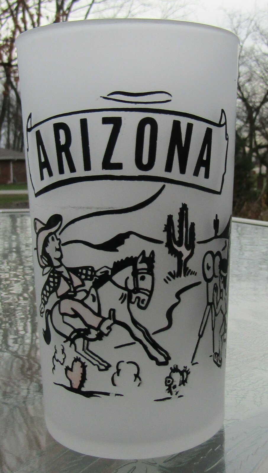 Vintage 4 3/4" Tall Federal Frosted Souvenir Glass ARIZONA The Grand ...
