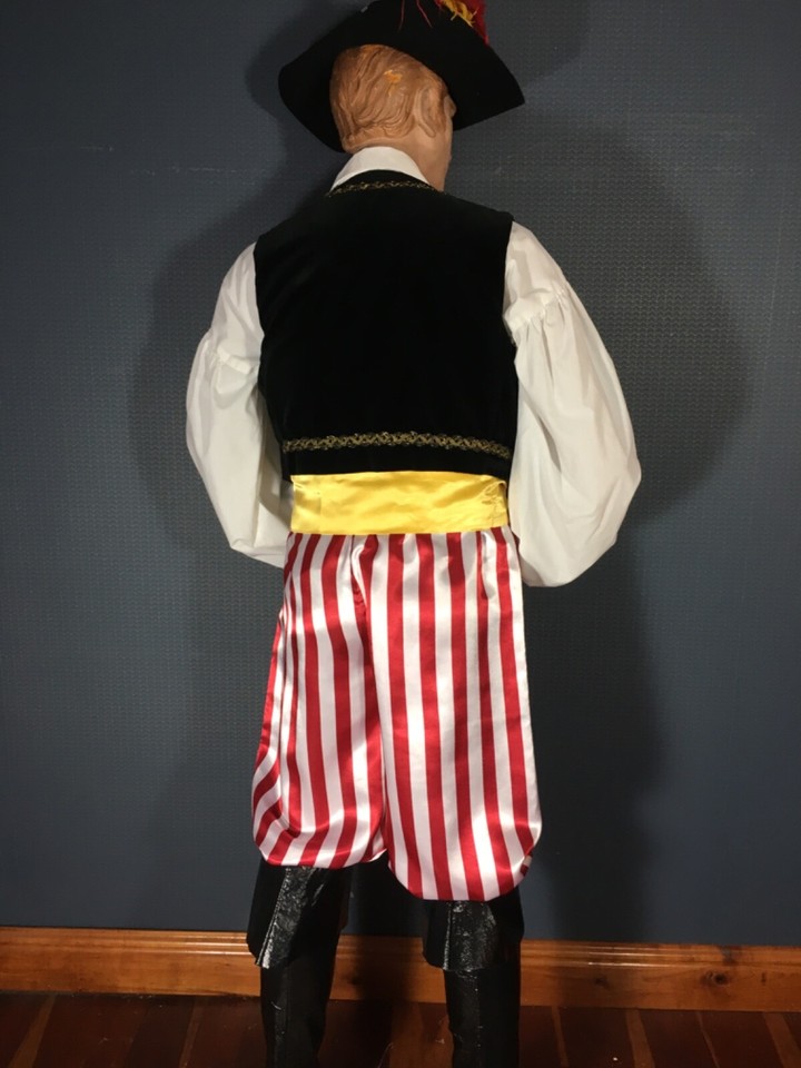 Pirate guy, classic pirate costume for medium to large fellow | eBay