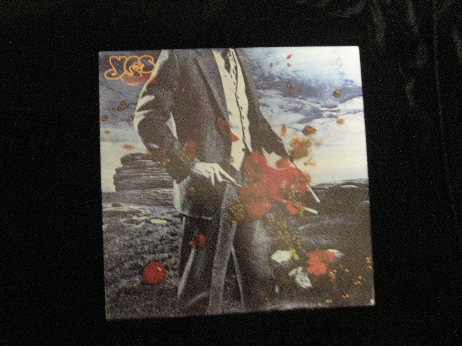 Yes Tomato Atlantic 19202-1978-Record-Album-Vinyl-LP | eBay