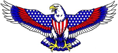 FLYING EAGLE WITH US FLAG ON WINGS HELMET STICKER BUMPER STICKER OPEN ...