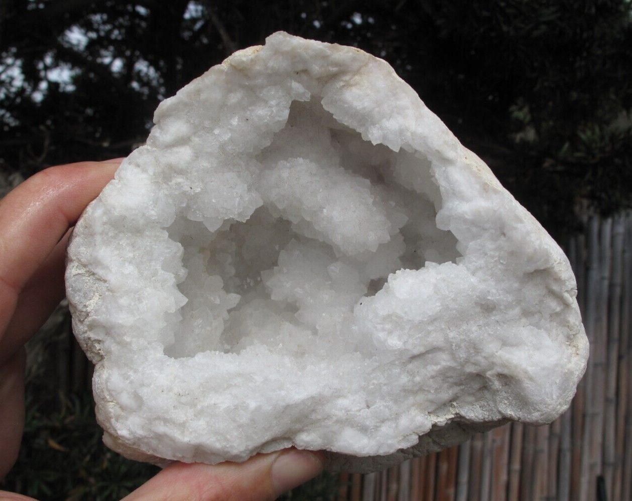White Calcite Geode Half - beautiful crystal mineral display - 2.44 lbs ...
