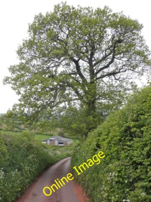 Photo 6x4 Slade Lane Beggearn Huish c2013 | eBay UK
