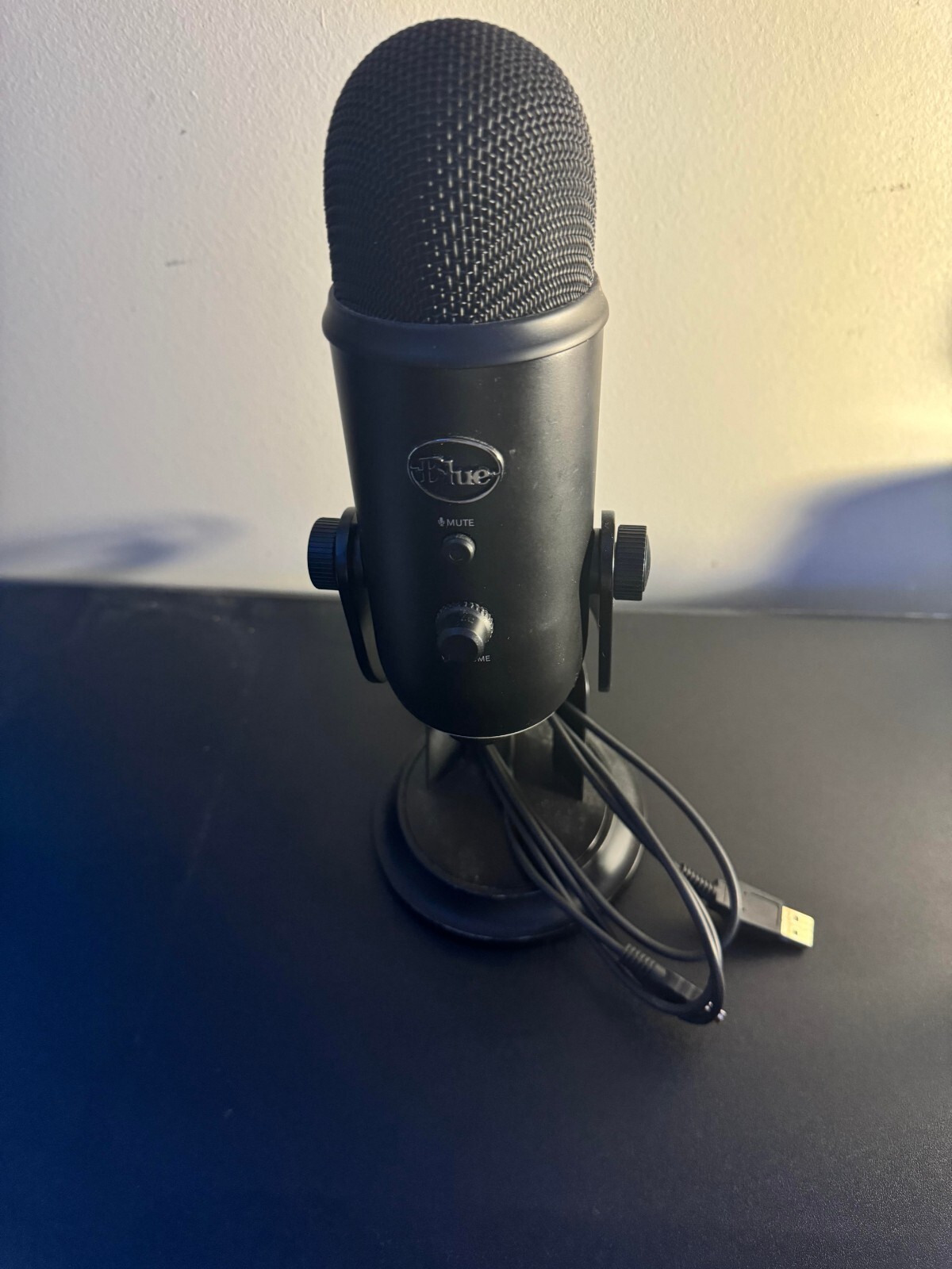 Blue Yeti Professional Multi-Pattern USB Condenser Microphone ...