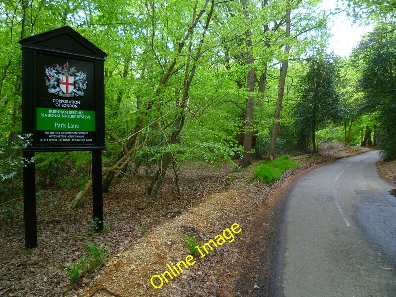 Photo 6x4 Corporation of London notice on Park Lane Littleworth Common ...
