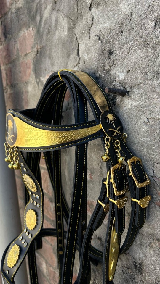 New Custom Fancy Hackamore Horse Bridle with Black Leather & Gold ...