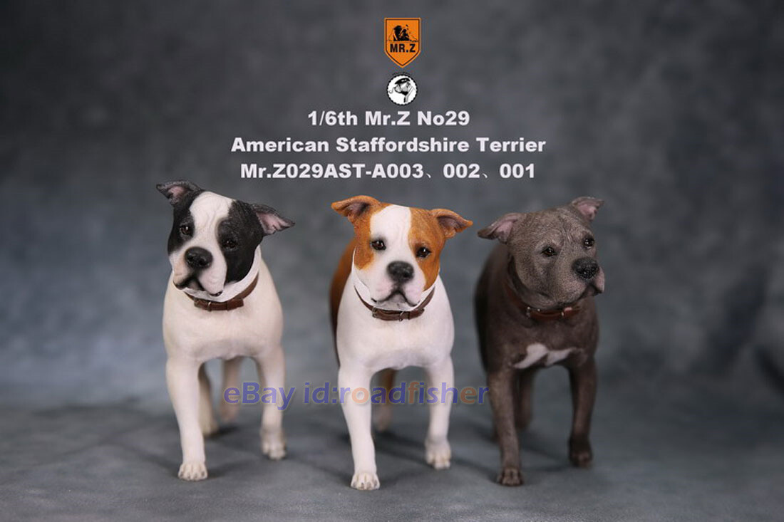 Logotipo De Ropa De Amstaff Bull Terrier De Staffordshire Foto De