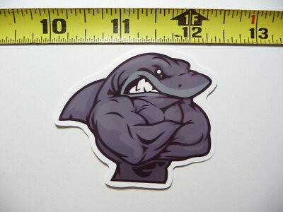 MEAN SHARK MUSCLES DECAL STICKER EXERCISE WEIGHTS FITNESS WEIGHTLIFTING ...
