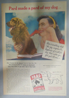 Pard Dog Food Ad: Pard Made a Pard of My Dog from 1947 Size: 11 x 15 ...