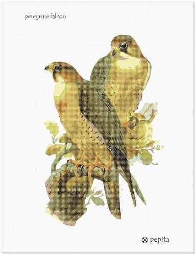 Peregrine Falcon Needlepoint Canvas (Bird/Animal) | eBay