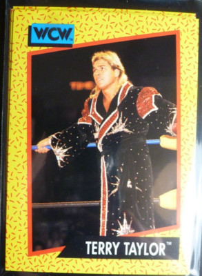 1991 Impel WCW Terry Taylor #69, WWF, WCW, AEW NM | eBay