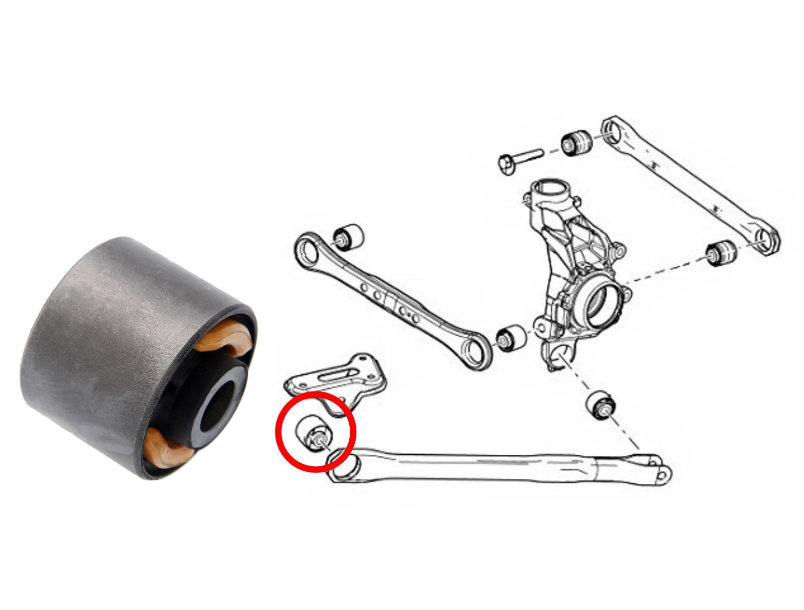 Rear Lower Track Control Arm Bush for Land Rover Freelander 2 Range ...