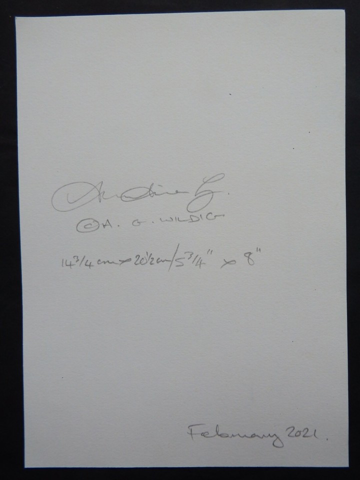 Original small hand drawn pen & ink dog drawing sketch of the head of a ...