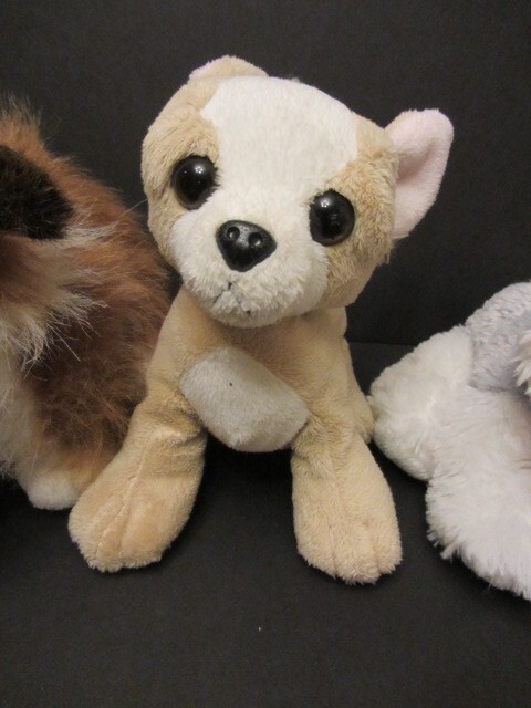 Lot 5 Ganz WEBKINZ-Dogs Husky, Collie, Chihuahua, Portuguese Water Dog ...