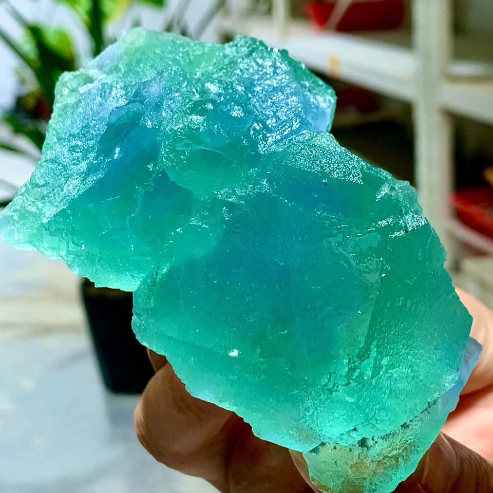 1.15LB Rare transparent green cubic fluorite mineral crystal sample ...