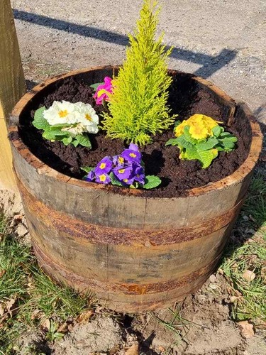 HALF BARRELS FOR THE GARDEN, VARIOUS SIZES AVAILABLE - FREE DELIVERY ...