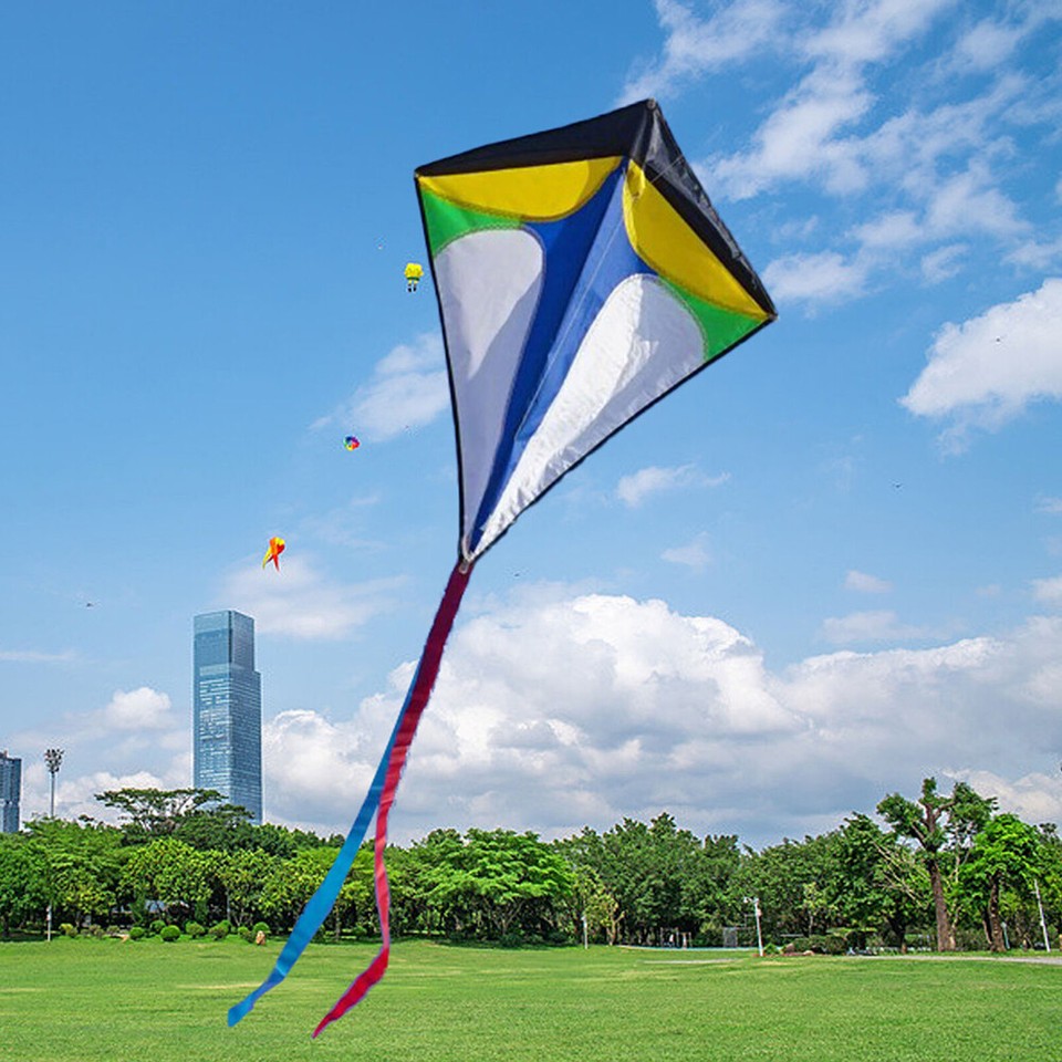 Single Line Kite Easy To Fly Rainbow Kite Colorful Flight Kite for ...