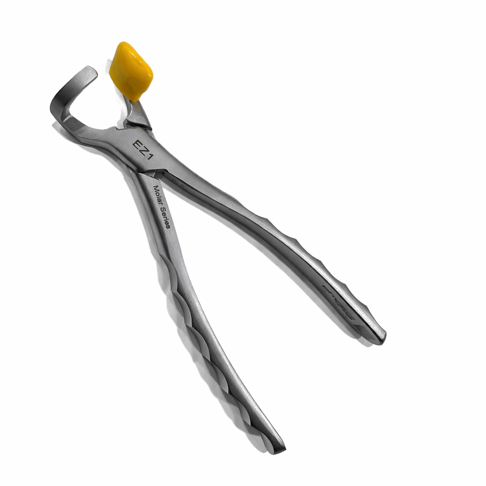 Dental Extraction Forceps Molar Series Set of 2 Pieces EXTRA Bumpers 20 ...