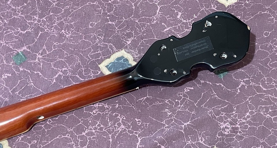 Rogue B30 5-String Banjo Easy Project | eBay