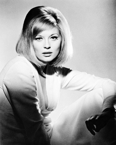 79455 Faye Dunaway Stunning Photo Wall Print Poster US | eBay