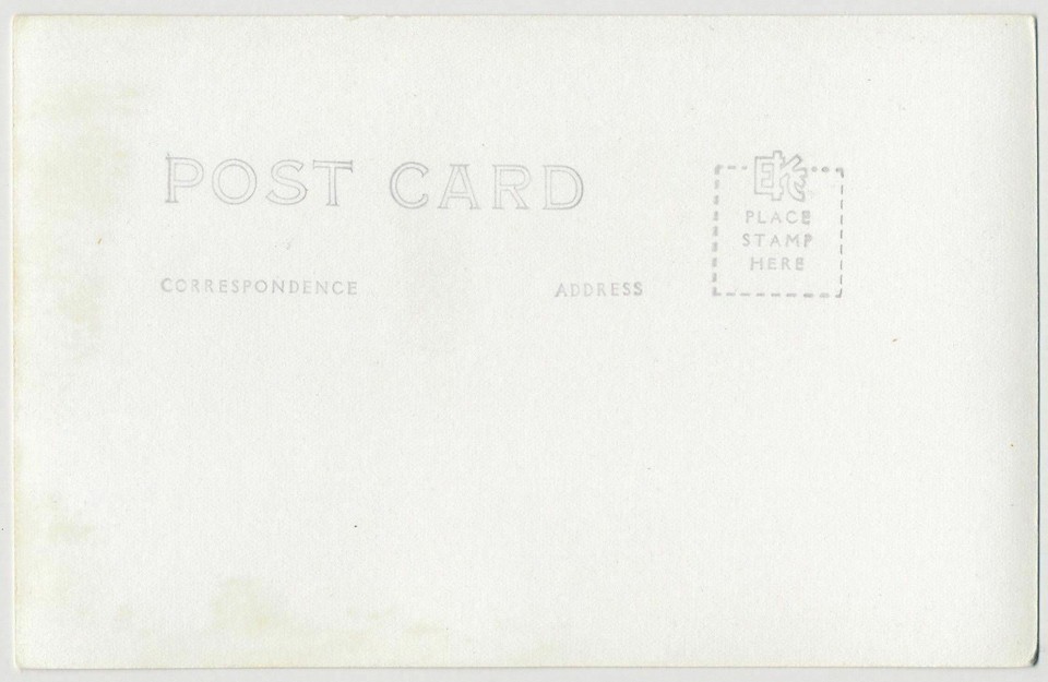 Bulldogging a Steer Custer Rodeo, Custer, South Dakota 1946 RPPC | eBay