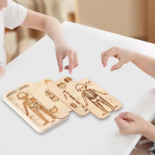 Wooden Body Puzzle 4 Layer Puzzle Shape Recognition Portable Fine Motor ...