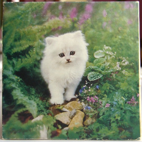 Springbok Mini Puzzle - FLUFF - over 70 Pieces - 7" x 7" Cat Flowers | eBay