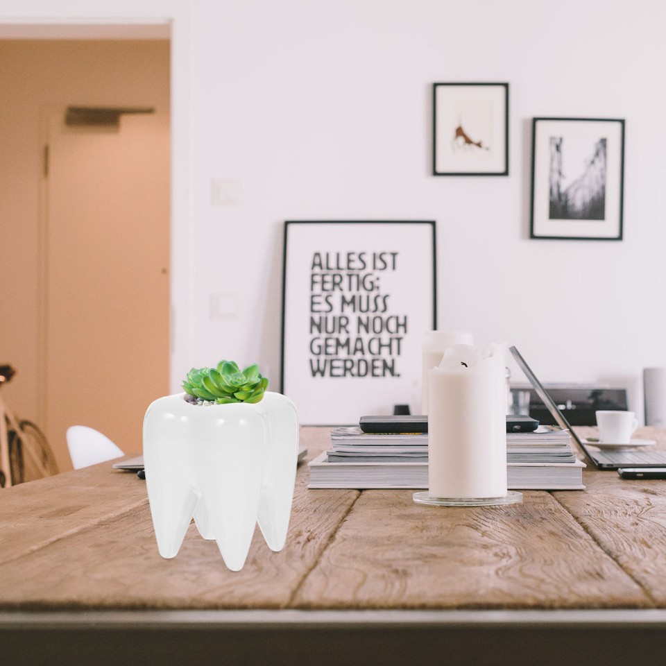 Home Ornament Teeth Plant Pots White Flower Vase Tooth Bonsai Ceramics ...