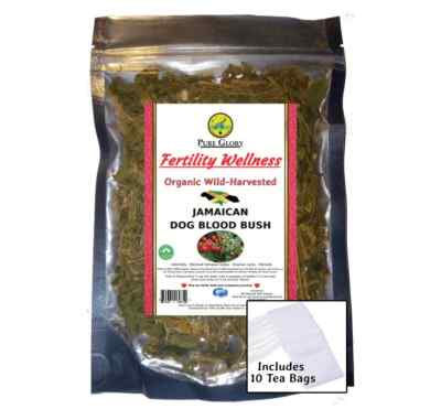Organic Jamaican Dog Blood bush(w/ tea bags)Fertility bush | Pregnancy ...