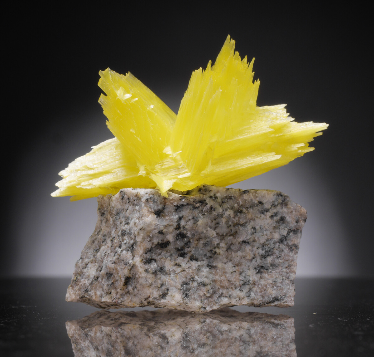 Arcanite crystals on matrix from Poland yellow like wulfenite | eBay UK