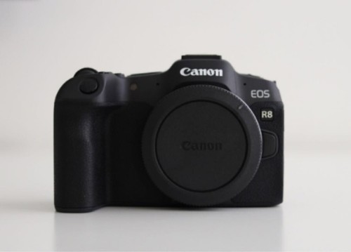 Near Mint Canon EOS R8 Body Digital SLR Camera SLR Body From JAPAN | eBay