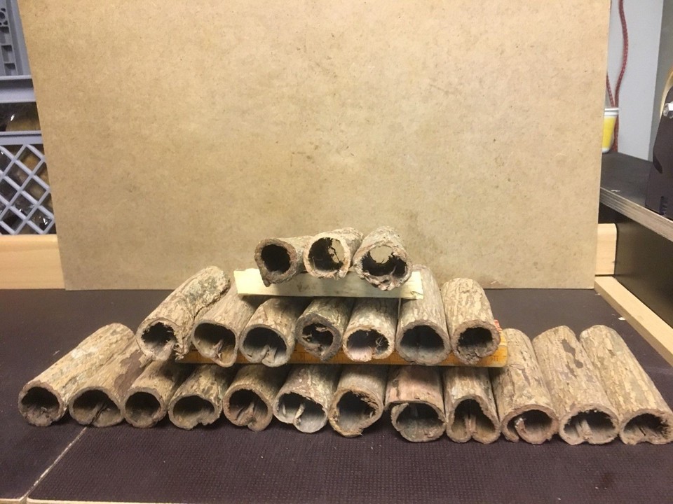 Bonus Action! Cave Aquarium ø3x10-12cm Catappa Bark Tube Catfish Spawn ...