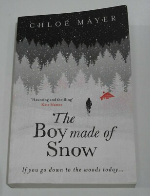 The Boy Made of Snow by Chloe Mayer (Paperback, 2017) 9781474604802 ...