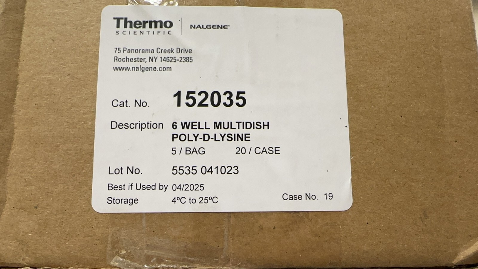 THERMO Nalgene Nunc 6-Well Multidish Poly-D-Lysine Plate 152035 (20 ...