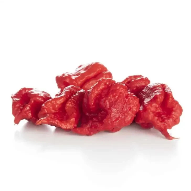 dragons breath pepper (15) Seeds VERY HOT!!!!!! 2.48 million Scoville ...