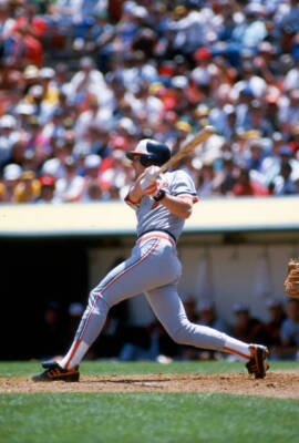 Billy Ripken Baltimore Orioles bats v Oakland Athletics durin- Baseball ...