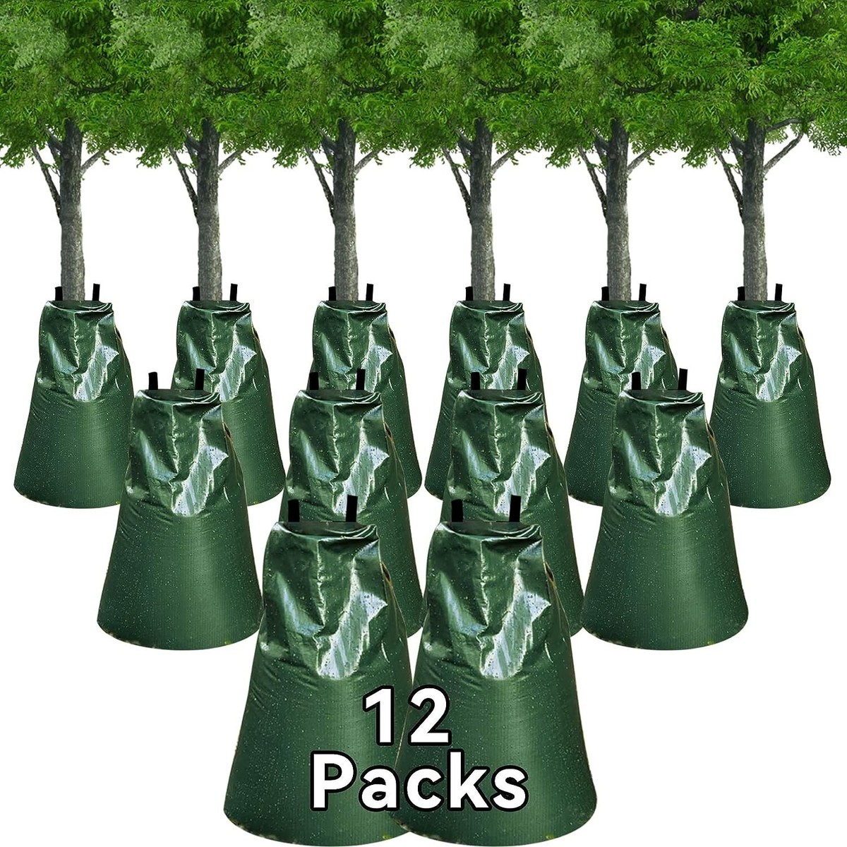 How Does A Automatic Tree Watering System Setting Up An Automatic