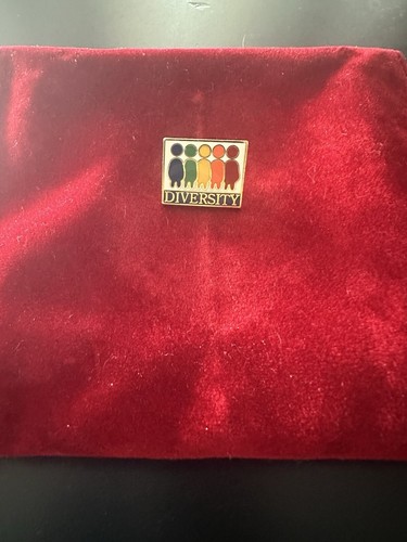 Diversity Pin Small Rainbow Colors | eBay