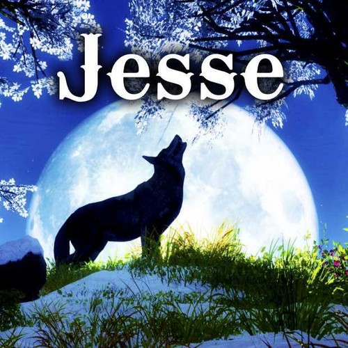 Wolf Sign Great for Door or Wall add name | eBay