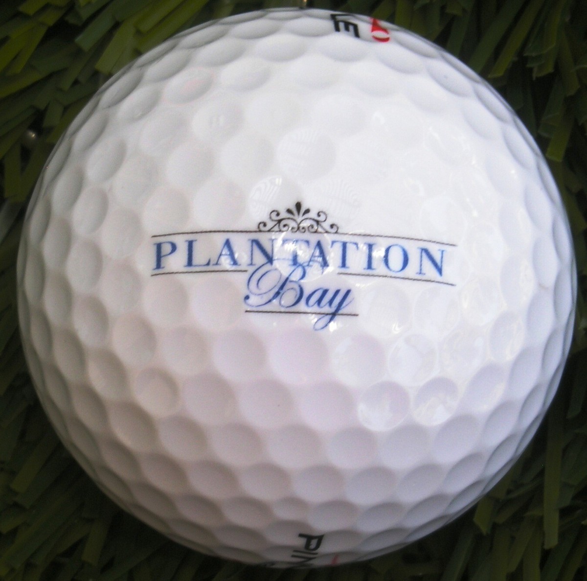 Plantation Bay Logo