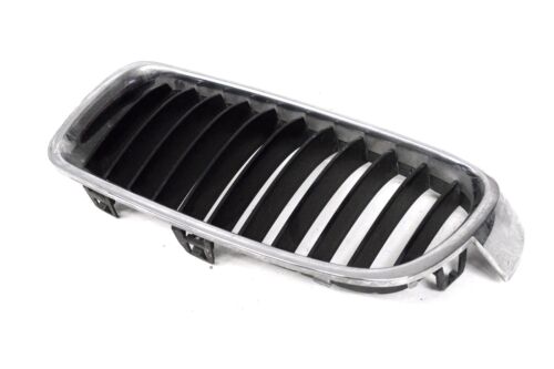 BMW F30 Niere vorne links 7255411 7263479 3er 316d 2013 17097356 | eBay