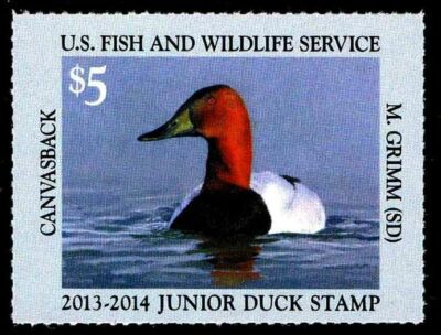 JDS21 2013 Federal Junior Duck Stamp (Grimm) OGNH EBAY LOW STORE PRICE ...