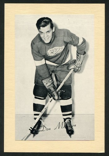 DON MORRISON DETROIT RED WINGS BEEHIVE HOCKEY PHOTO--GROUP 2--NEAR MINT | eBay
