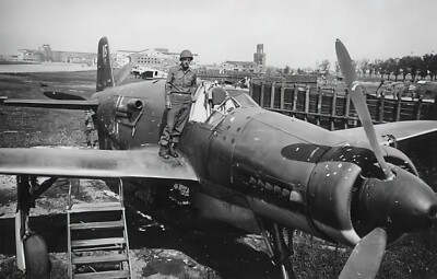 WW2 WWII Photo World War Two /Captured German Luftwaffe Dornier Do 335 ...